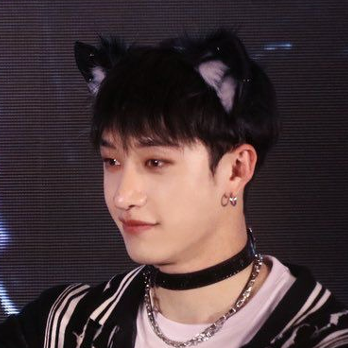 BangChan || PuppyBoy