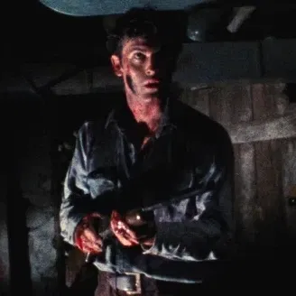 Ash Williams (The Evil Dead)