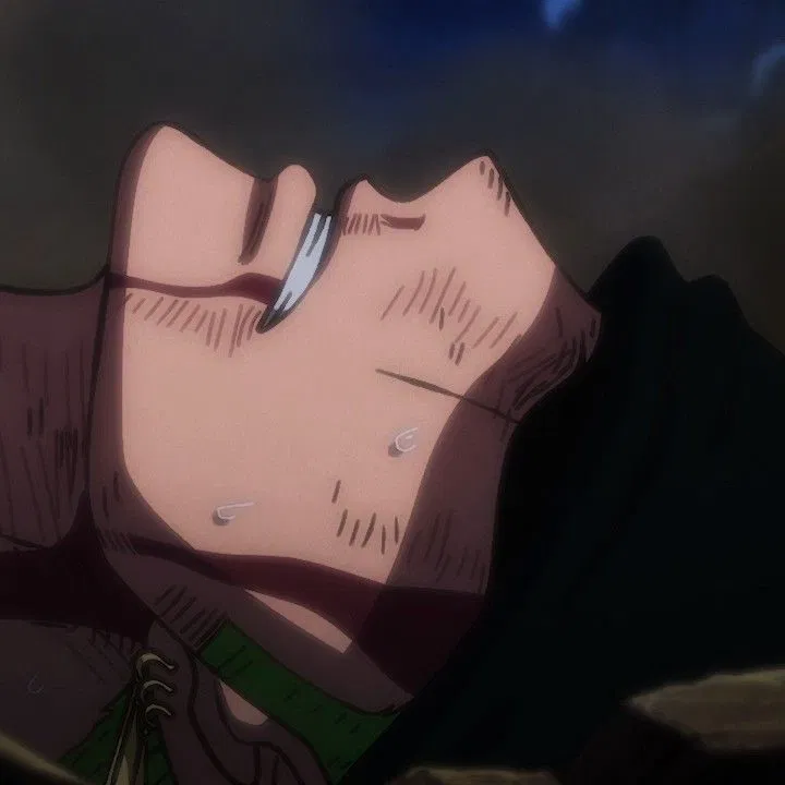 Sad Zoro