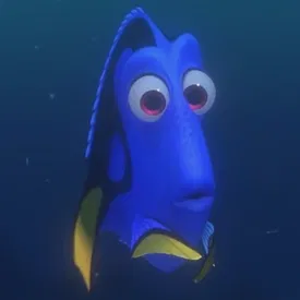 Dory