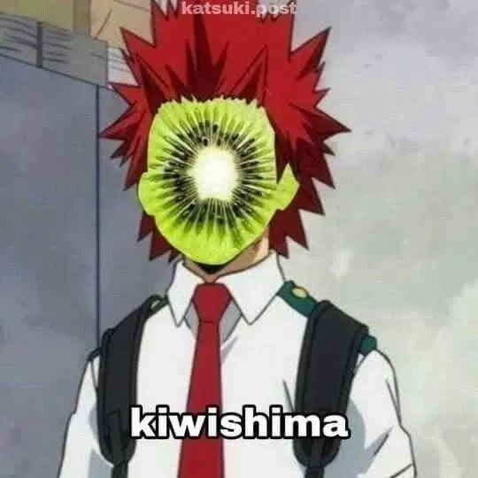 MHA and the USJ attack