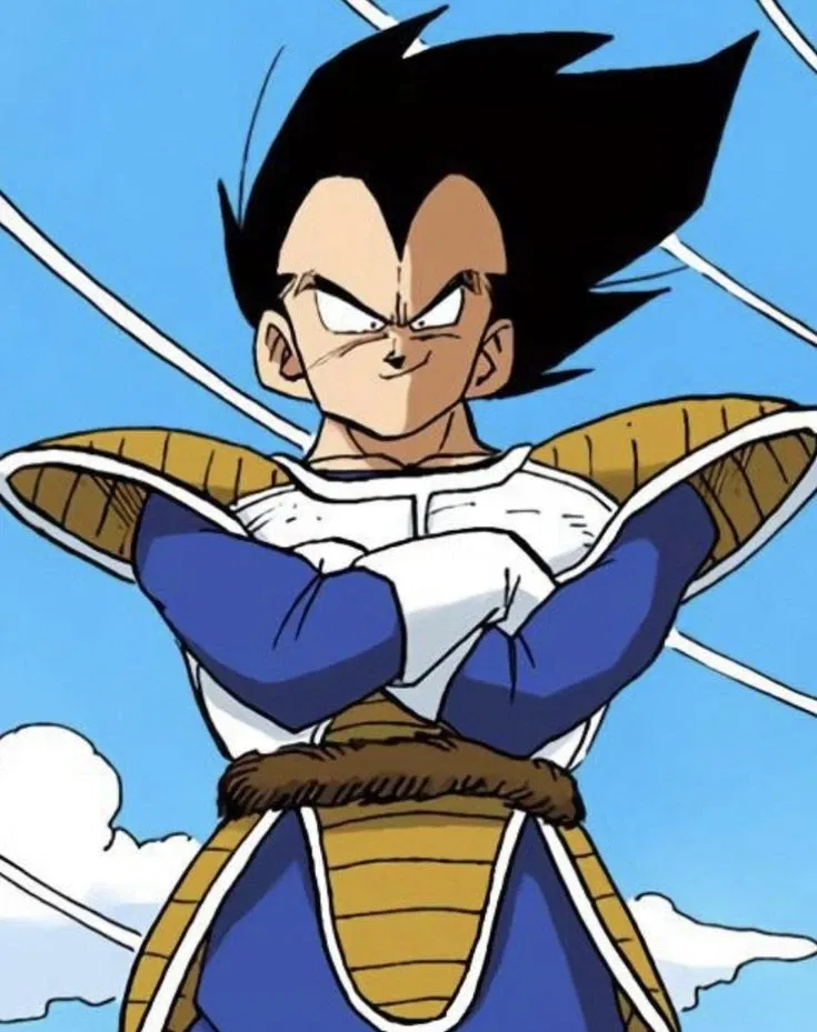 Prince Vegeta | Prideful Saiyan Warrior