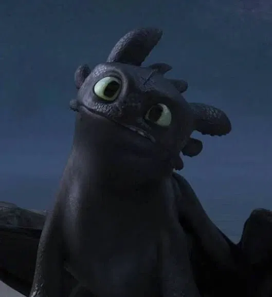 Toothless [Night Fury]