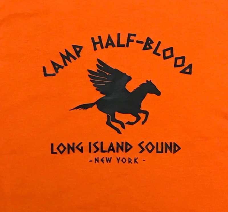 Camp half-blood!