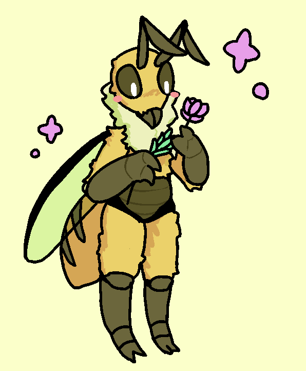 Wilber-The furry male bee