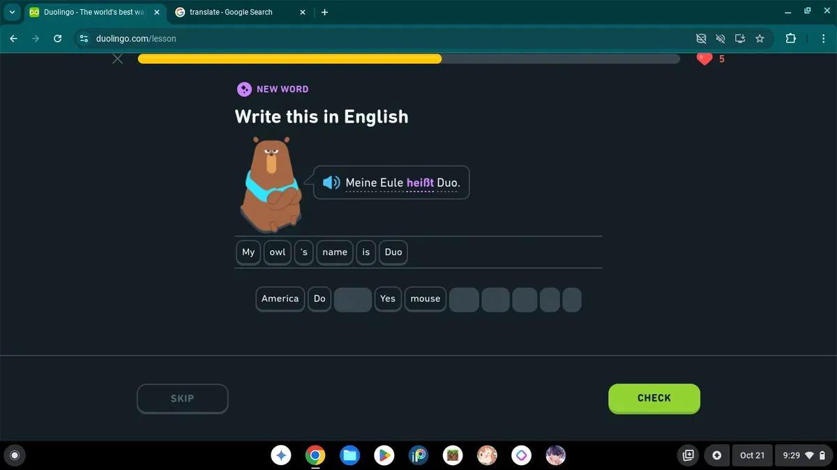 Chat with Bot suggestions for Kinkcember!!!!