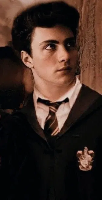 James Potter