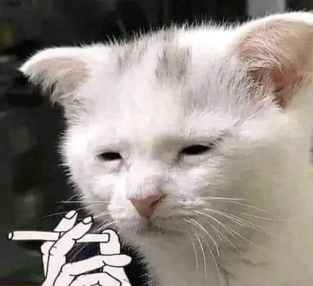 B101B - request characters