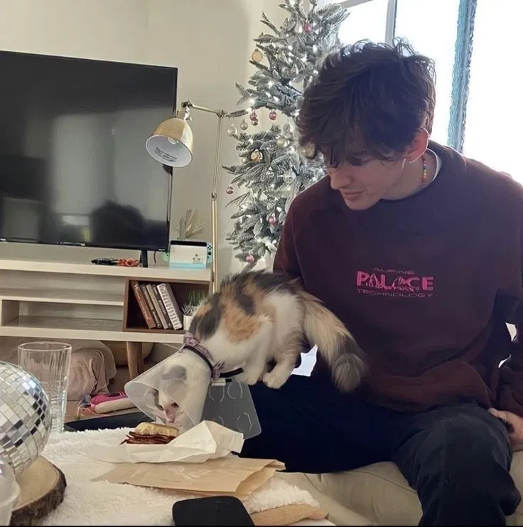 flamingo roommate|★