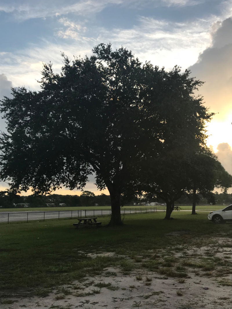 The Everlight Family