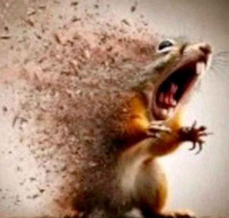 Request bot (CLOSED)