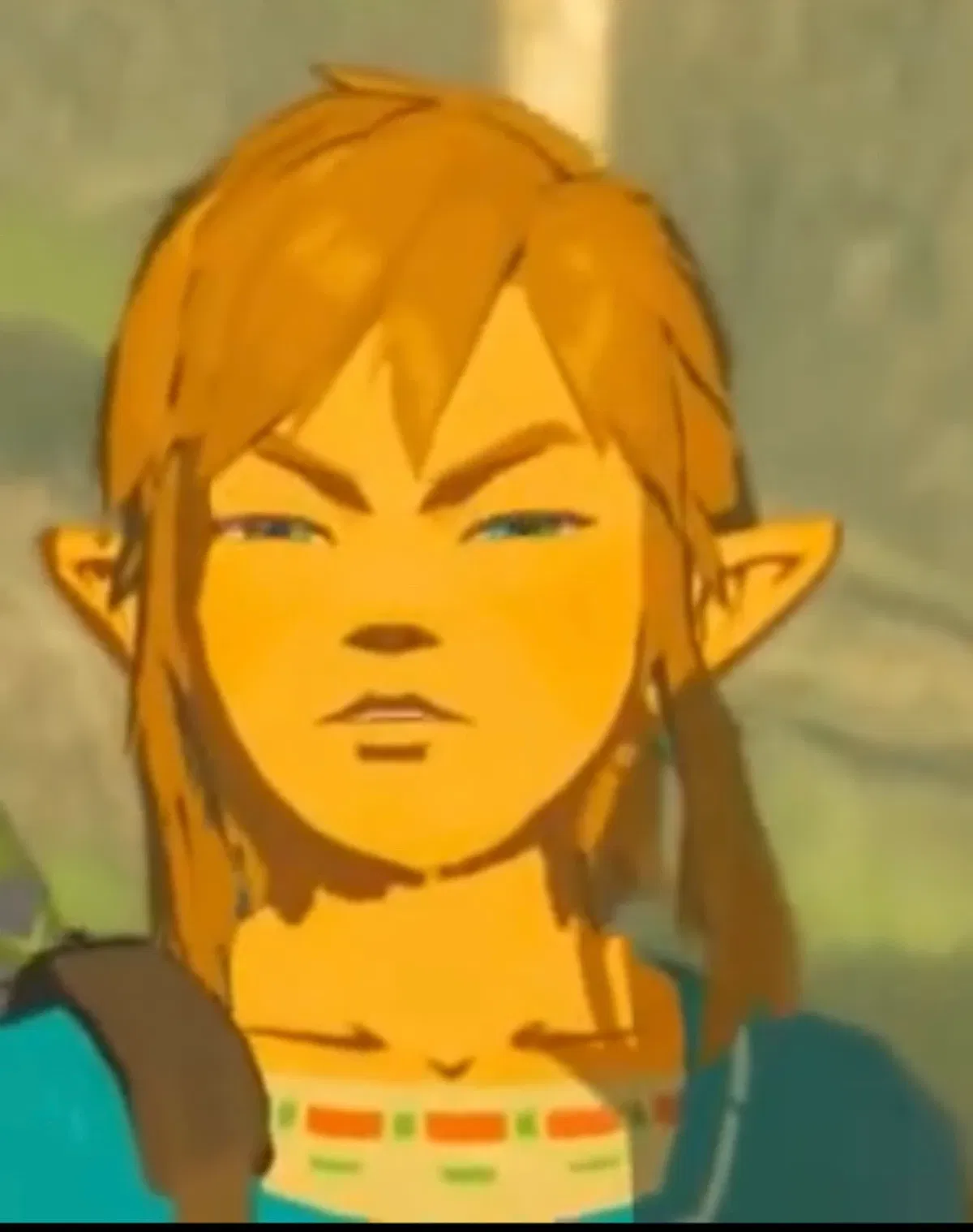 Link (BOTW/TOTK)