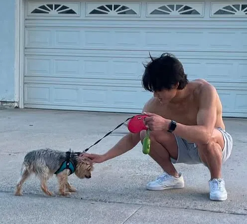 Liu Han | Falling For The Boy From Across The Street