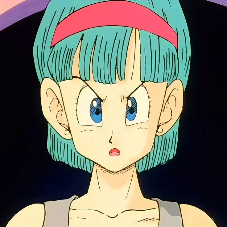Bulma Brief