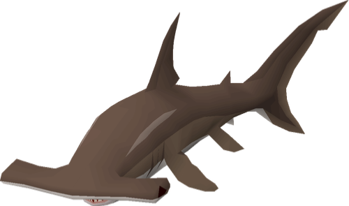 Hammer head shark