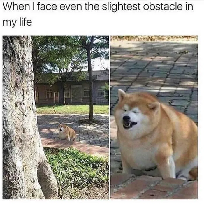 Fat Demi-human (Dog Edition)