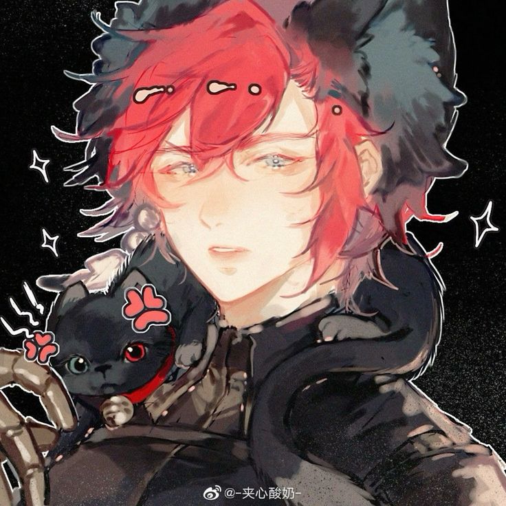 Chat with Annoying Cat - BL