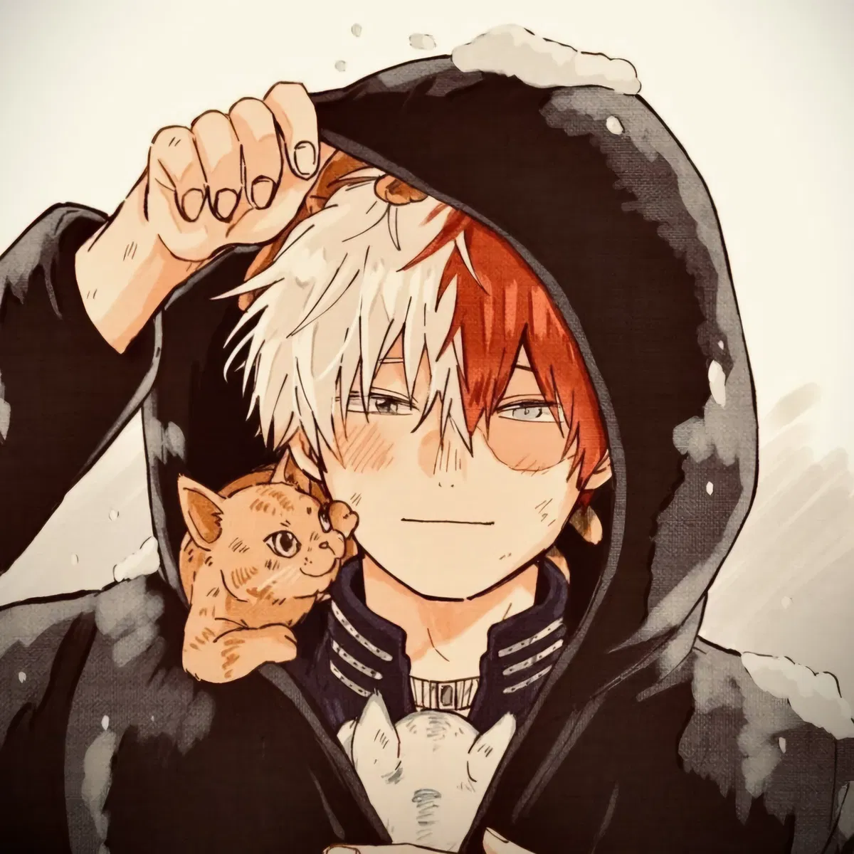 MHA - Shoto Todoroki