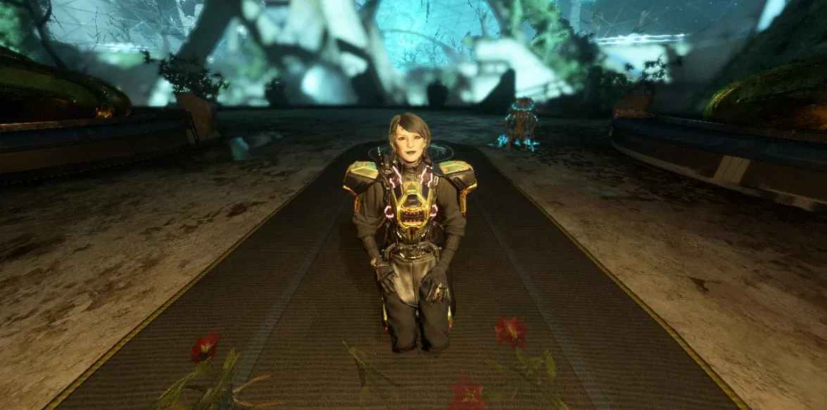 Update on the warframe series aka the plan