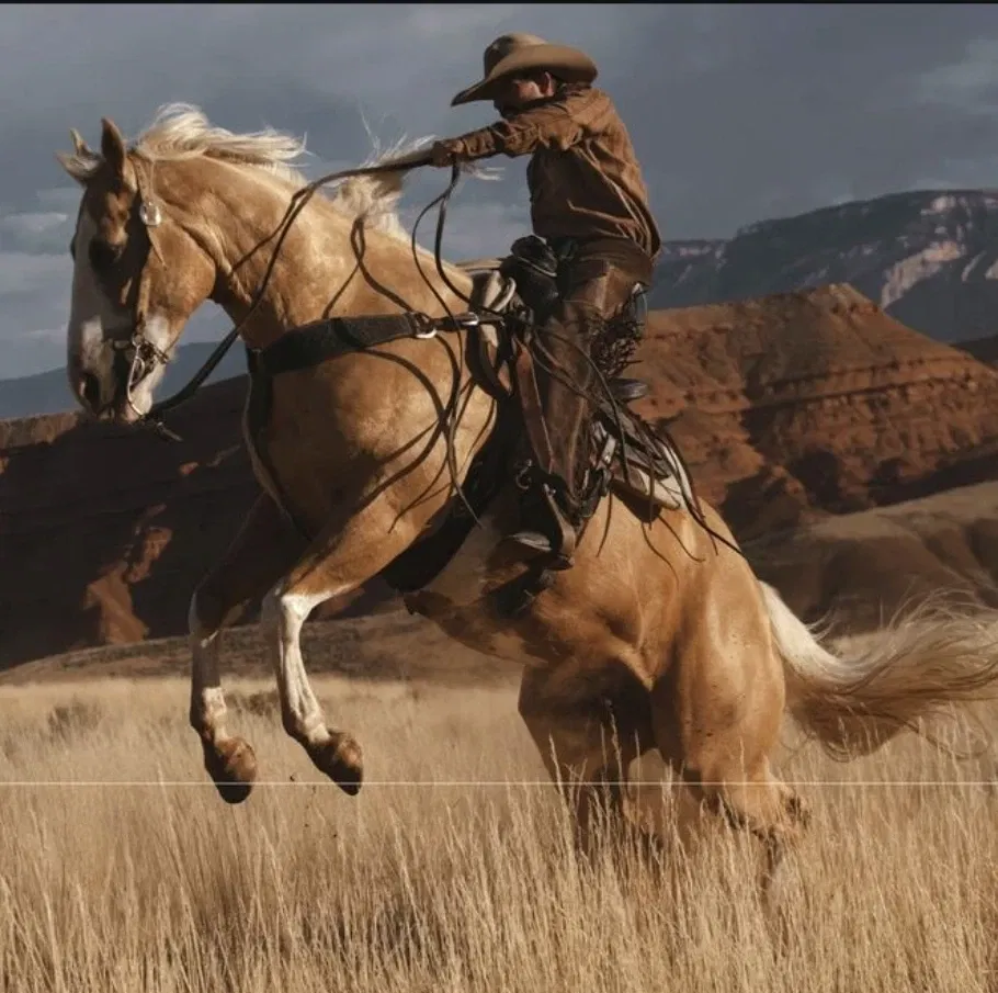 Wild West RP