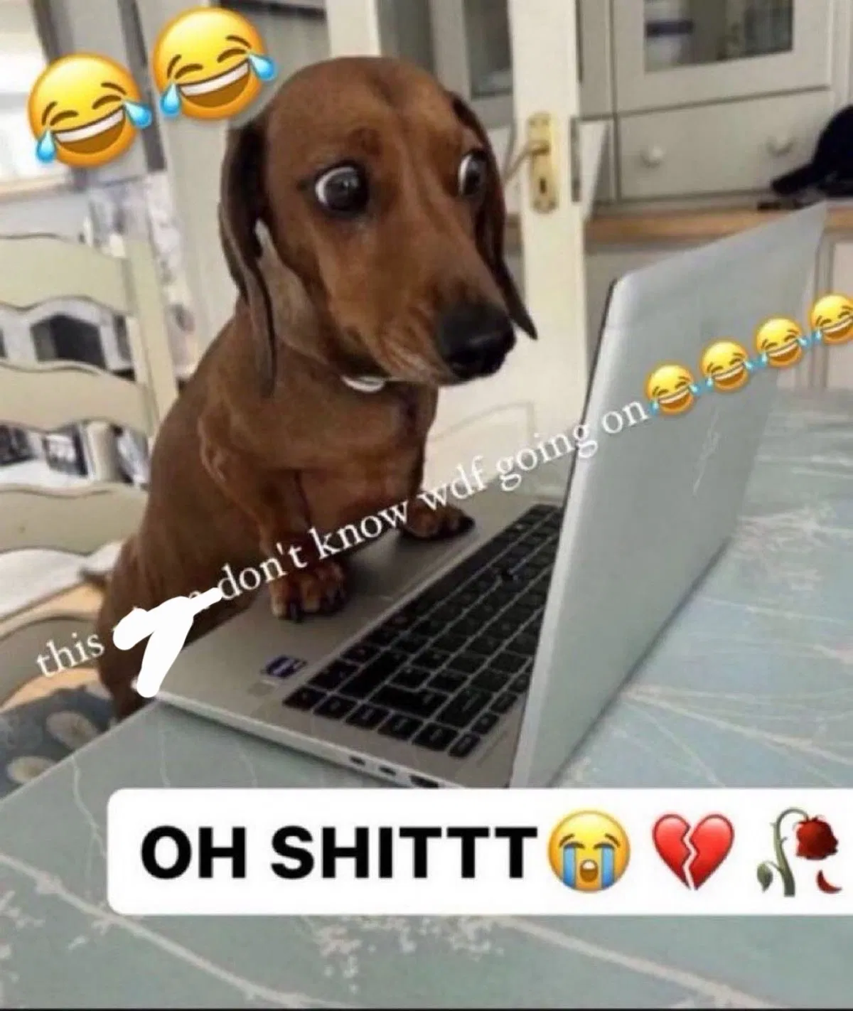 Deciding if I wanna be a bot creator