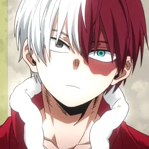 Shouto Toroki. º