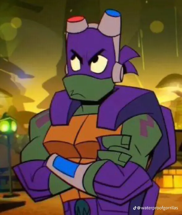 Donnie - ROTTMNT