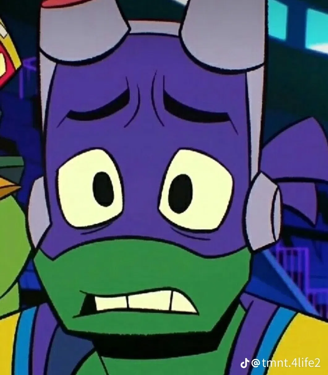 Donnie - ROTTMNT