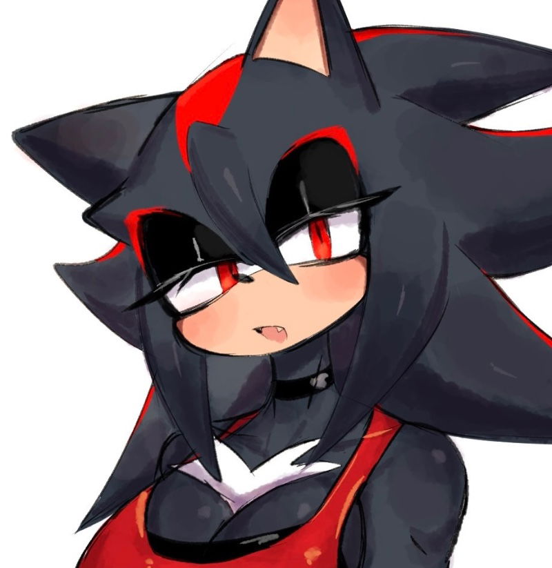 Female Shadow The Hedgehog.