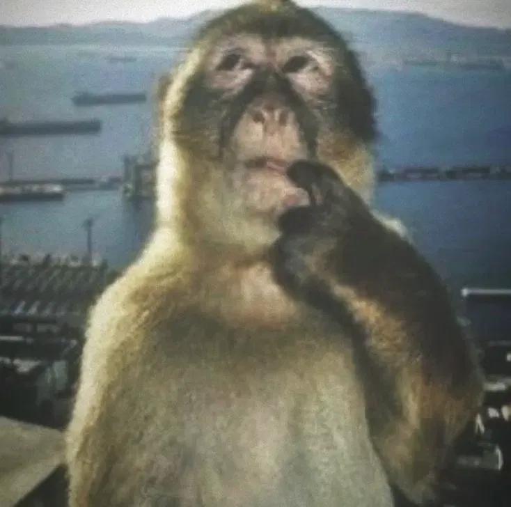 SO ERM...HELLO...I GUESS