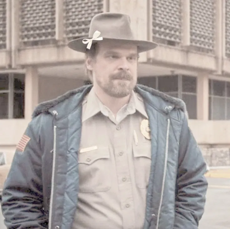 jim hopper ୨ৎ