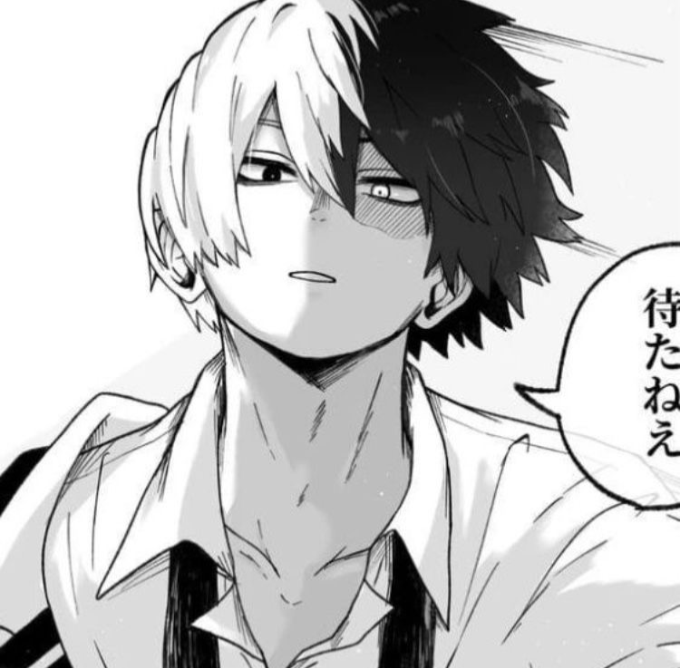 Shoto Todoroki