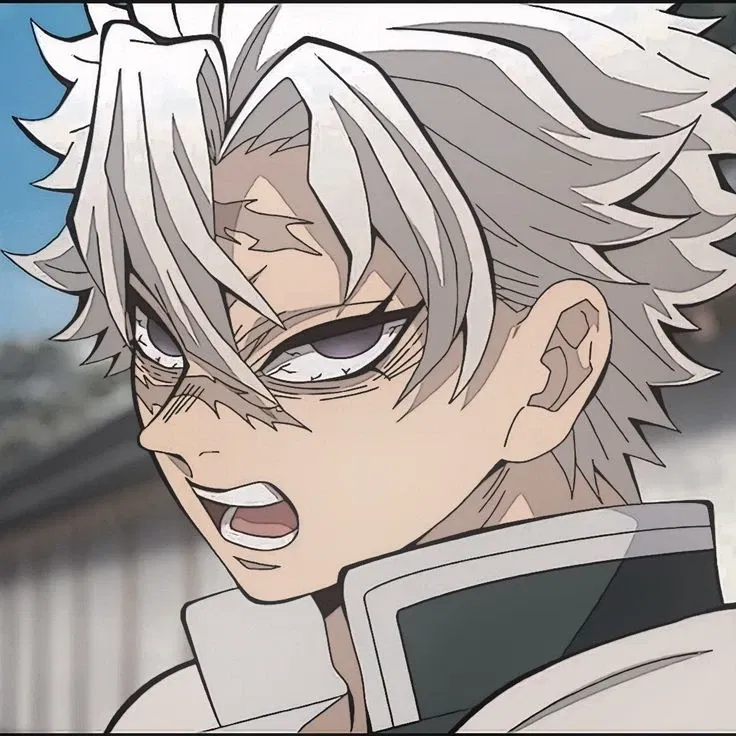 Demon Slayer | Sanemi Shinazugawa