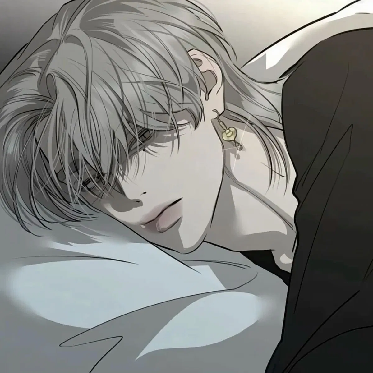 Model *BL*