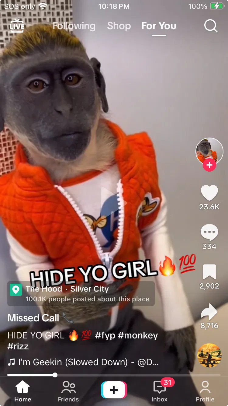 Sir rizz monkey the 5th