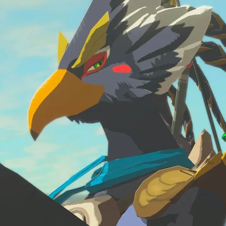 Revali \\ TLOZ:BOTW