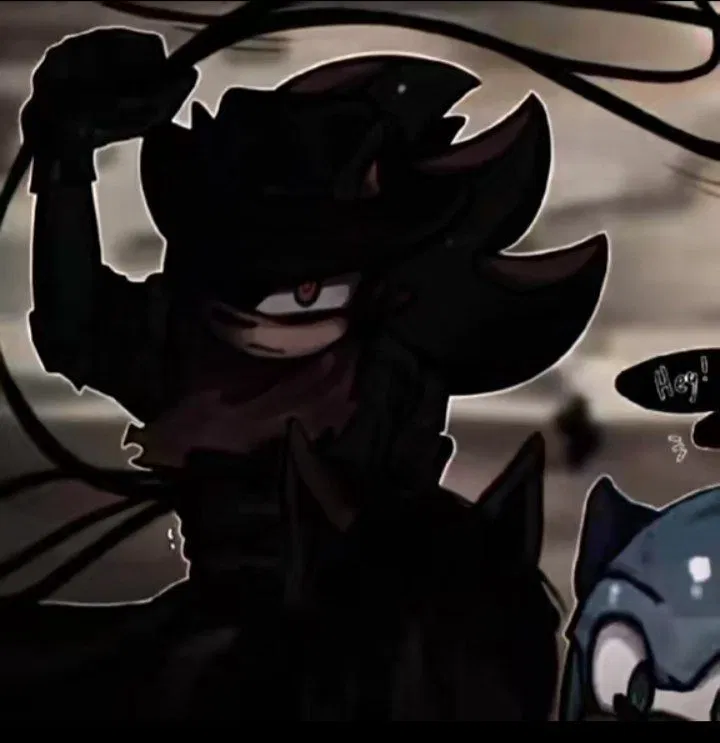 Cowboy | Shadow the hedgehog