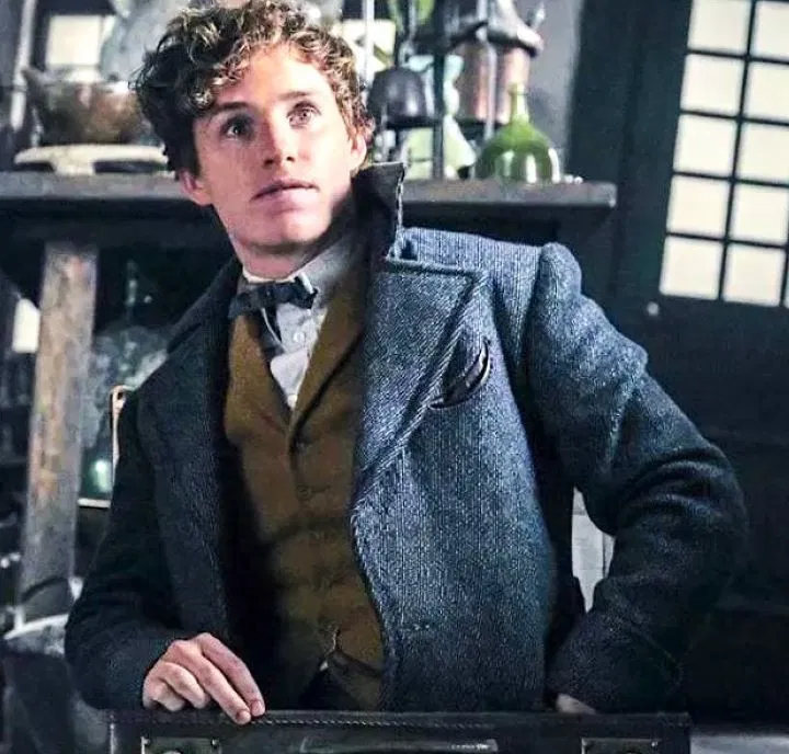 Newton Scamander