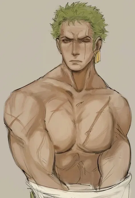 Roronoa Zoro || Nap time