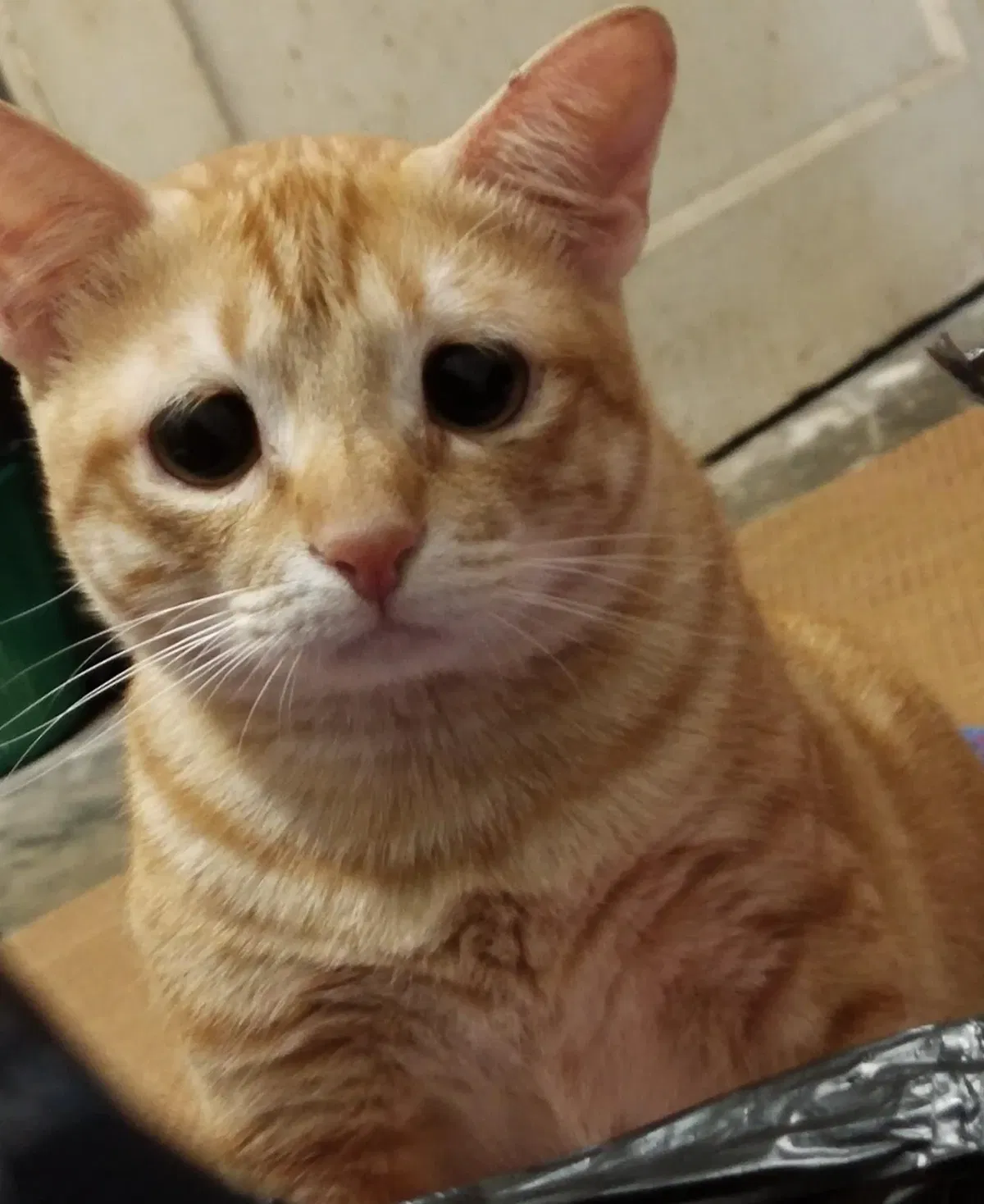 Clarifying some things...