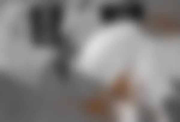 Chat with Boa Hancock fart bot