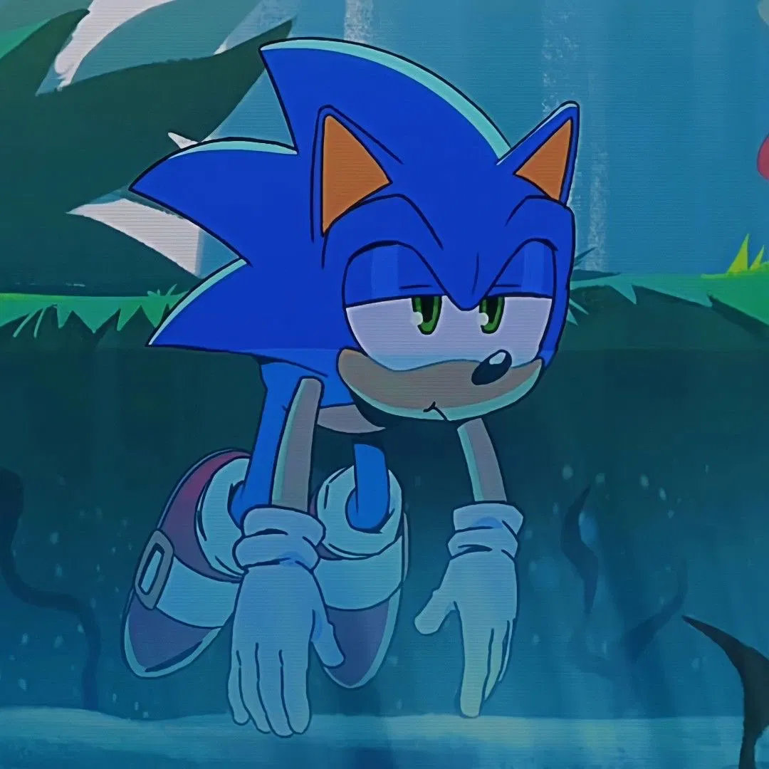 Sonic the hedgehog