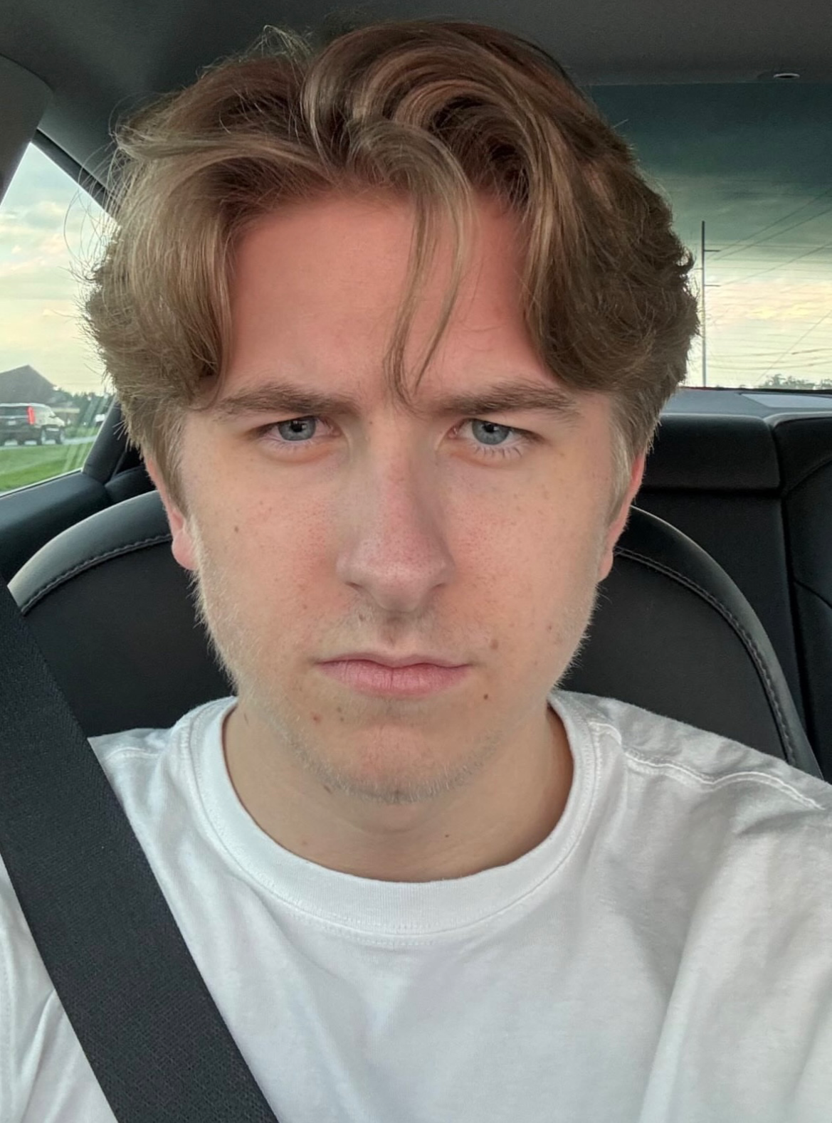 grayson ‘purpled’ wood