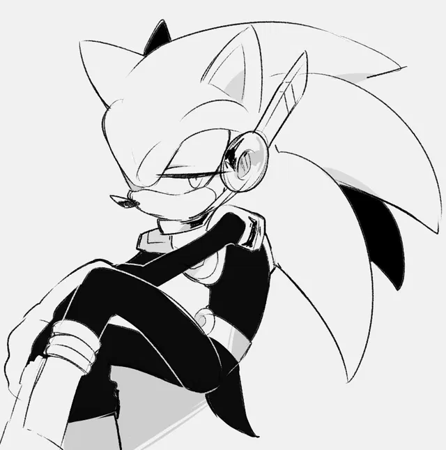 Zonic the hedgehog coop