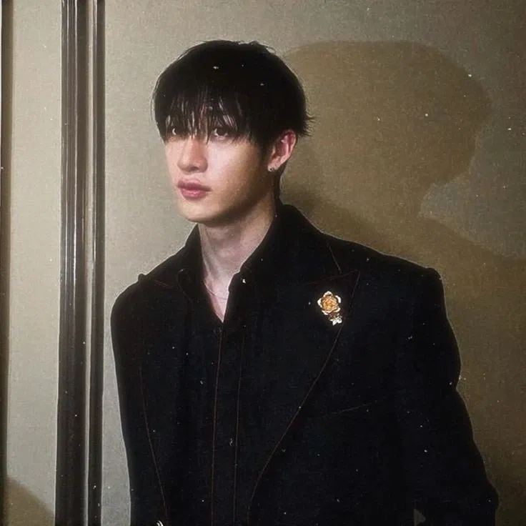 Bahng Christopher Chan (Husband Bangchan)