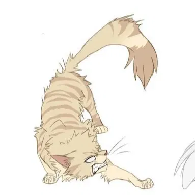 Katsuki Bakugou cat