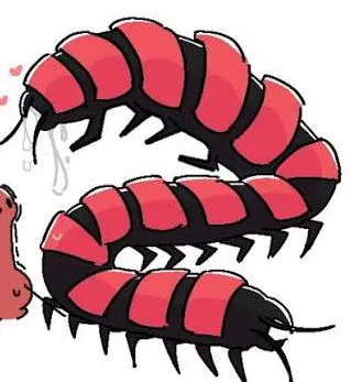 Red Centipede
