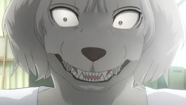 Collot - Beastars