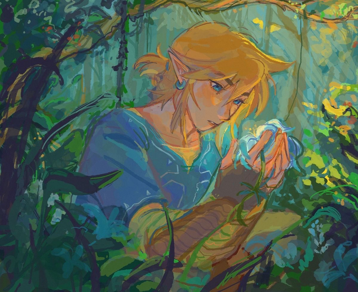 Link | LOZ — BOTW