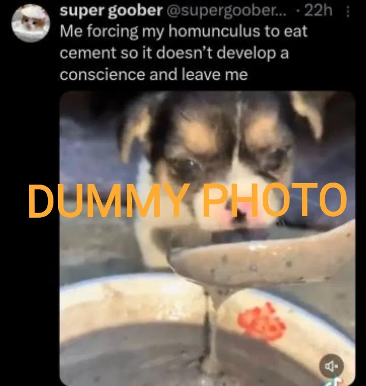 Adrián "Adri" Sánchez - Dog Police Man (im gonna change the photo for a ...